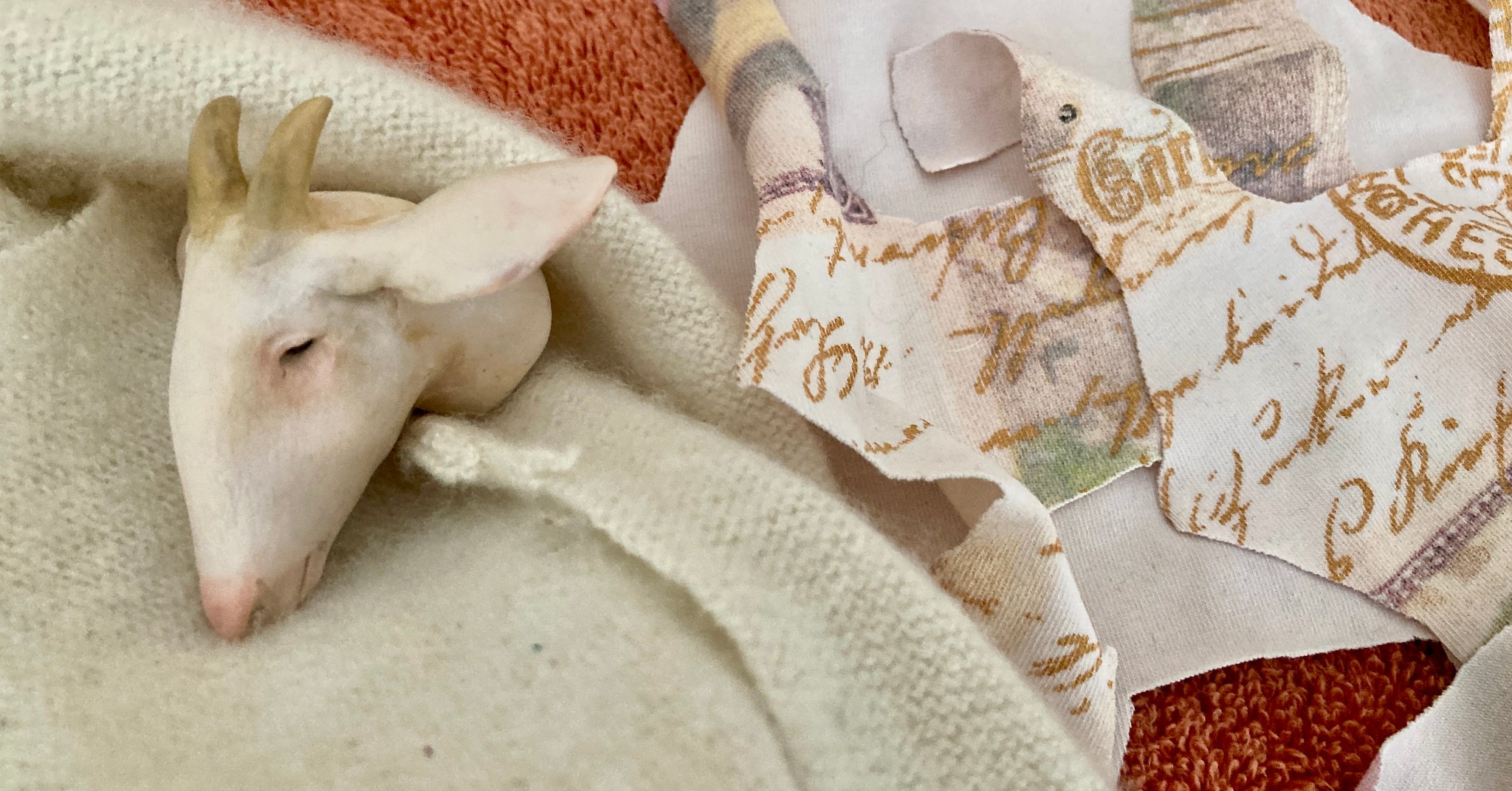 coming B A C K . . . – KATE CHURCH